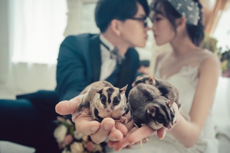 HCstudio 優秀的一個攝影團隊｜ HC Studio手工婚紗 攝影工作室